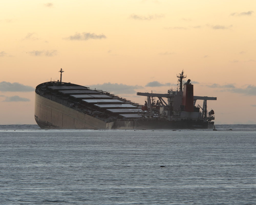 Oil spill response and management of oil waste and contaminated soil ...